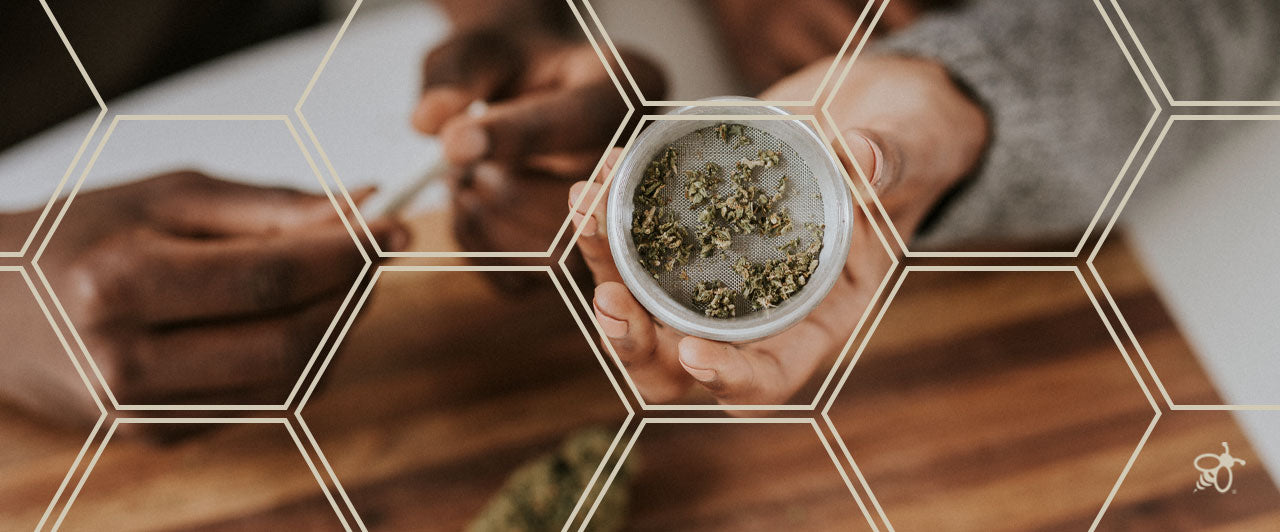 Browse & Shop the Roll Your Own Collection | Green Bee Life
